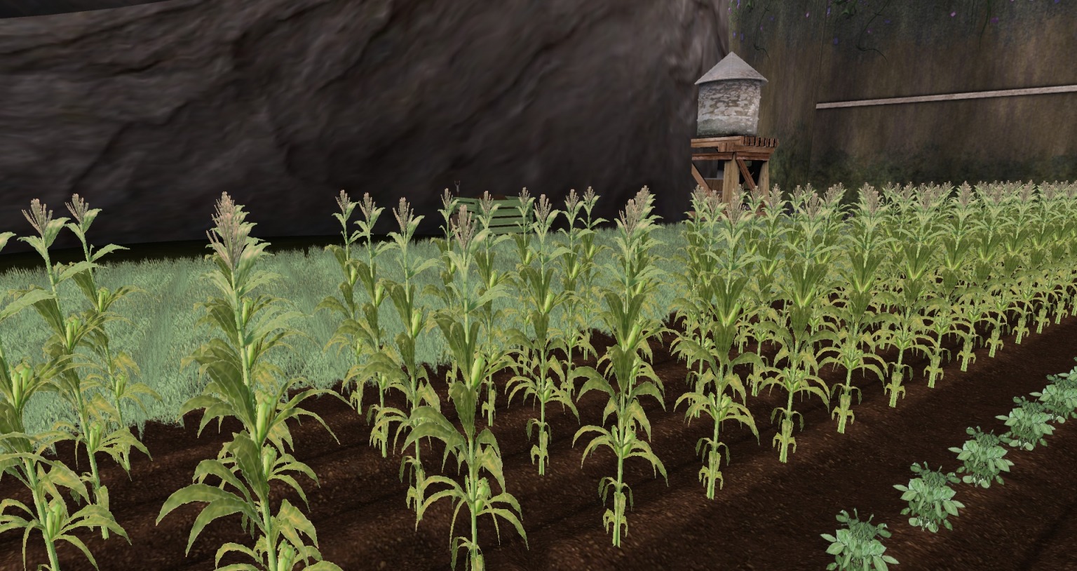 DFS Seeds (Dirt Fields) – Digital Farm System