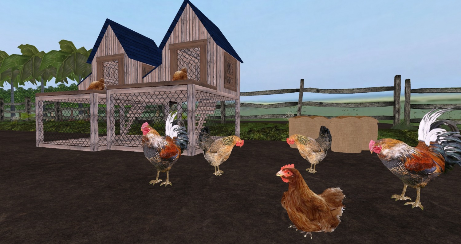 Monday’s Release: Cock-a-doodle-doo! – Digital Farm System