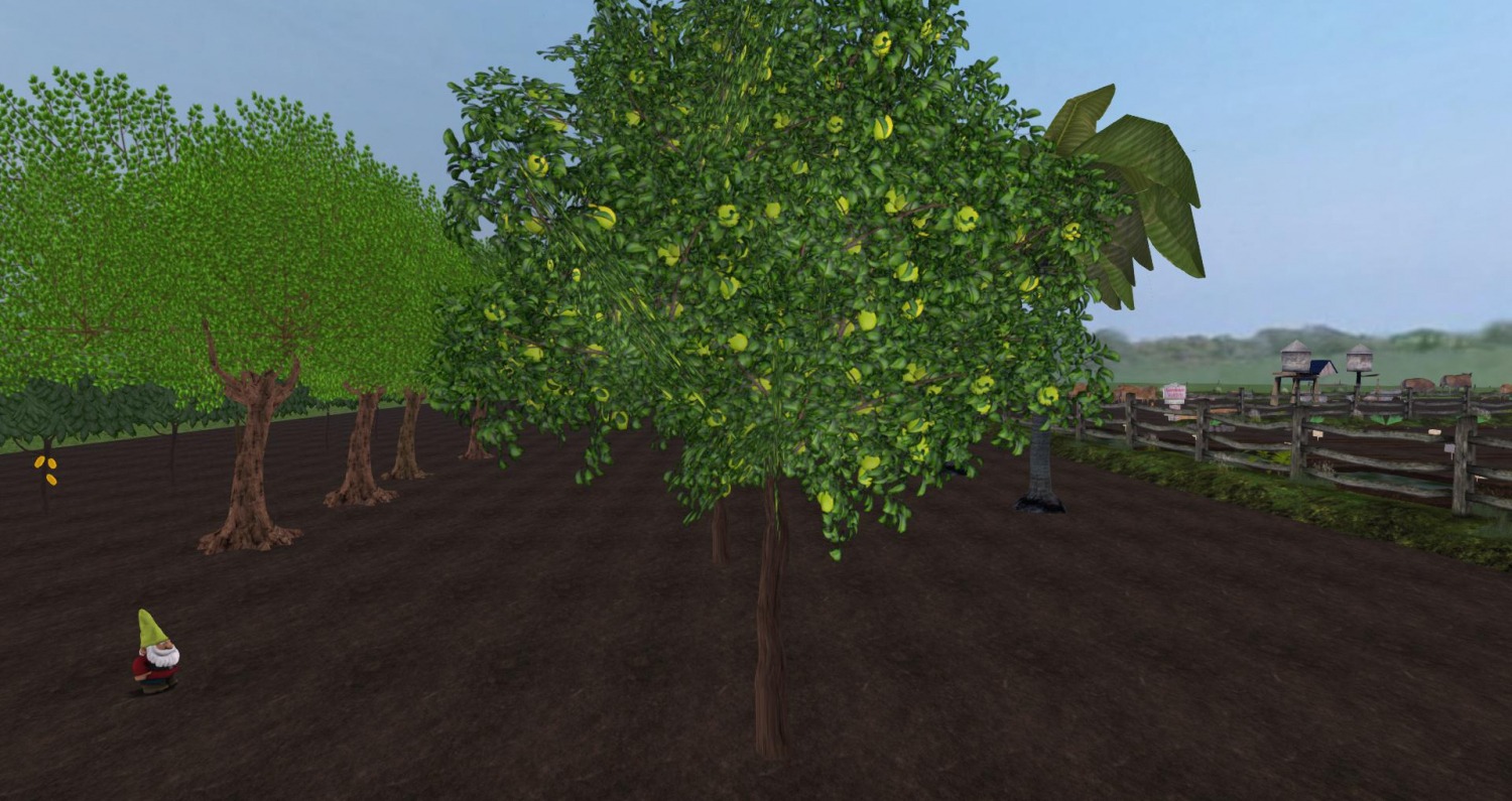 DFS Lunchboxes – Digital Farm System