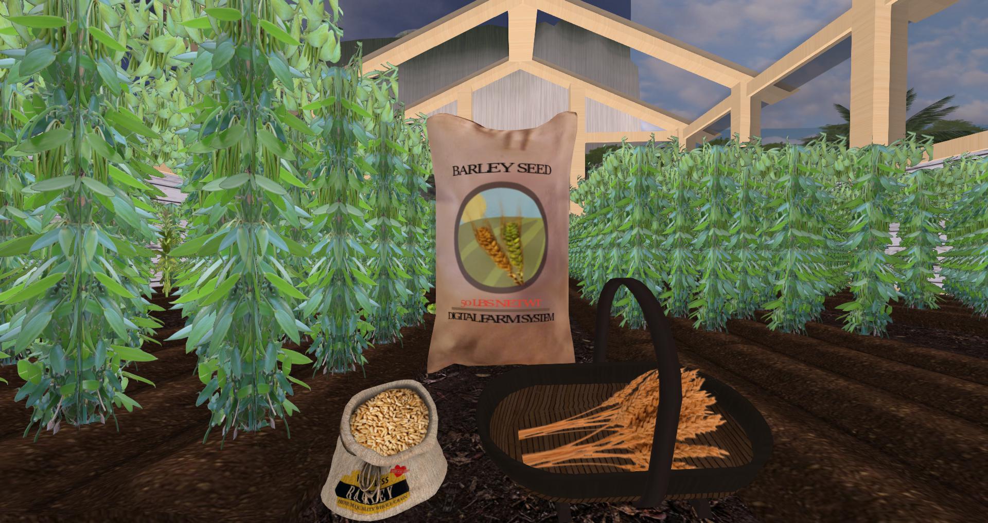 New DFS Seed! DFS Barley Seeds! Start planting some today. You will ...