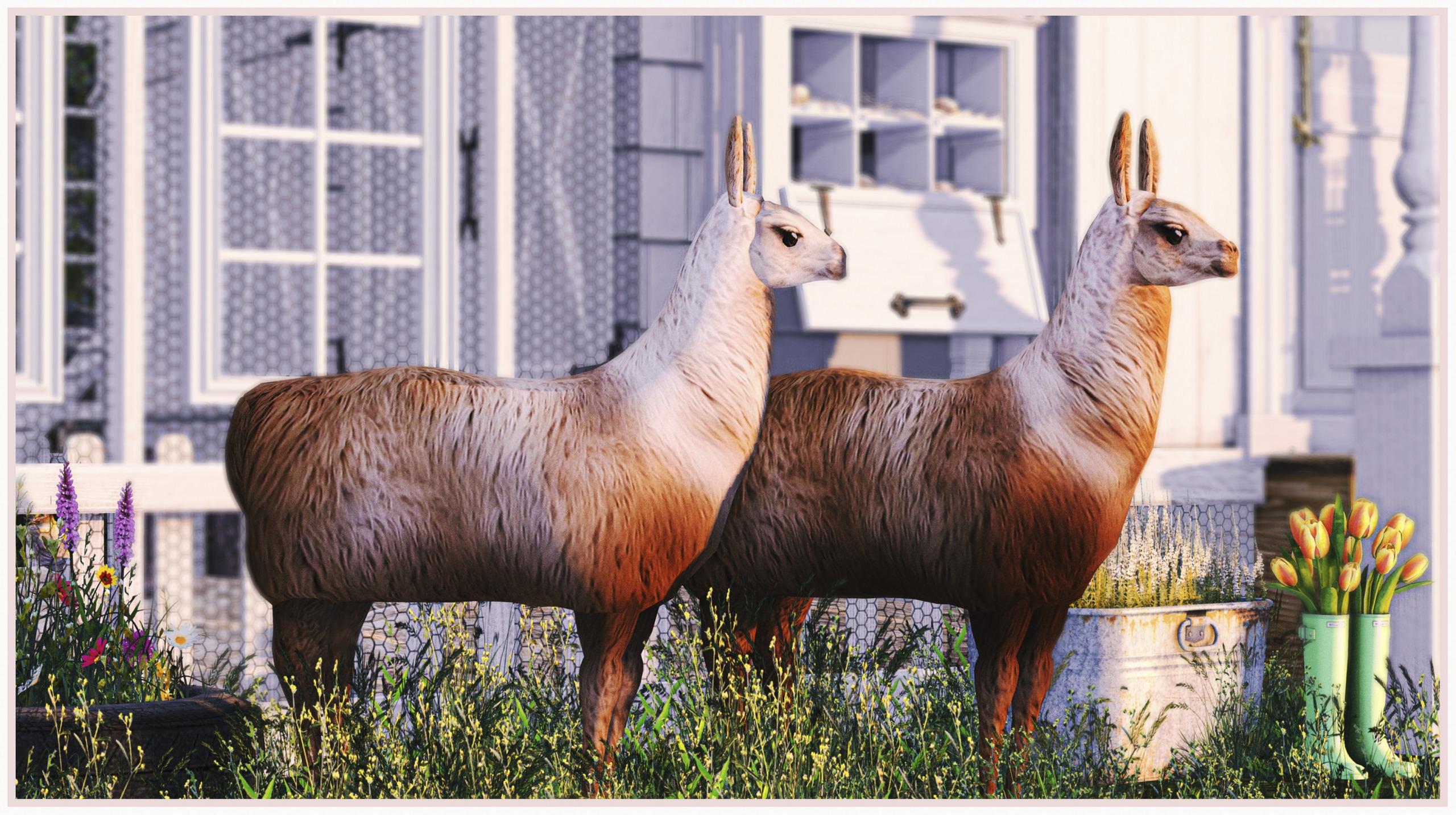 Animals – Information Sheet – Digital Farm System