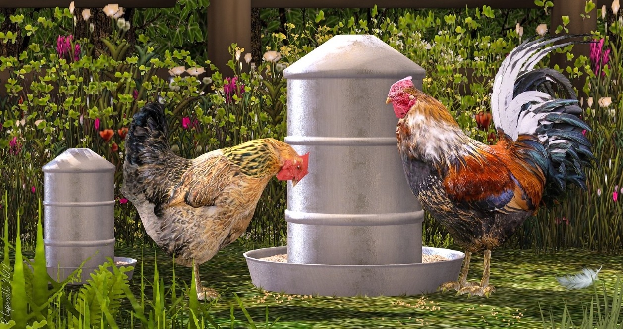 Animals – Information Sheet – Digital Farm System