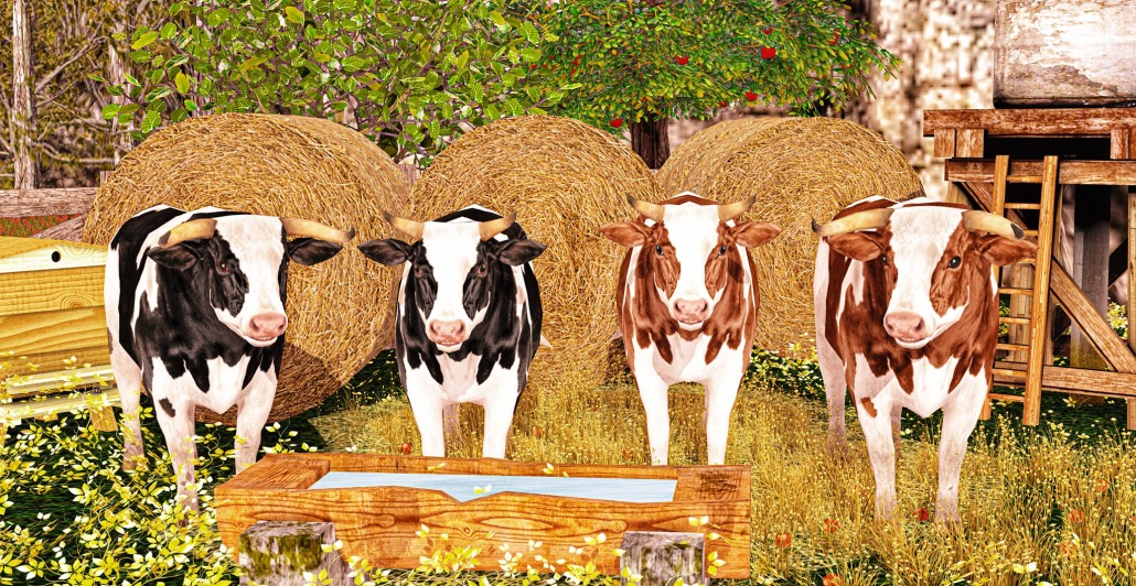 Digital Farm System – Digital Farm System