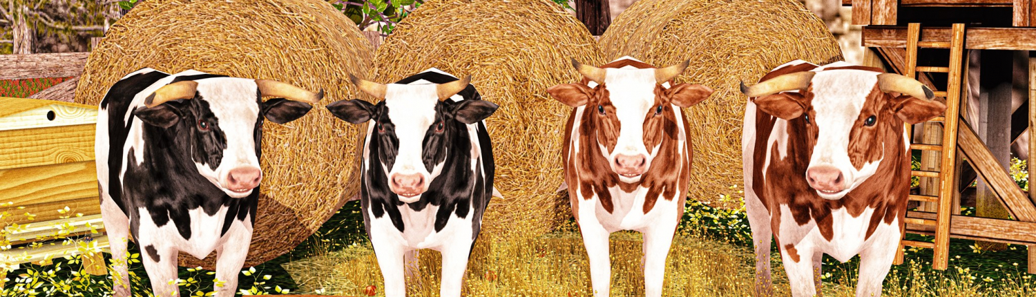 Digital Farm System – Digital Farm System