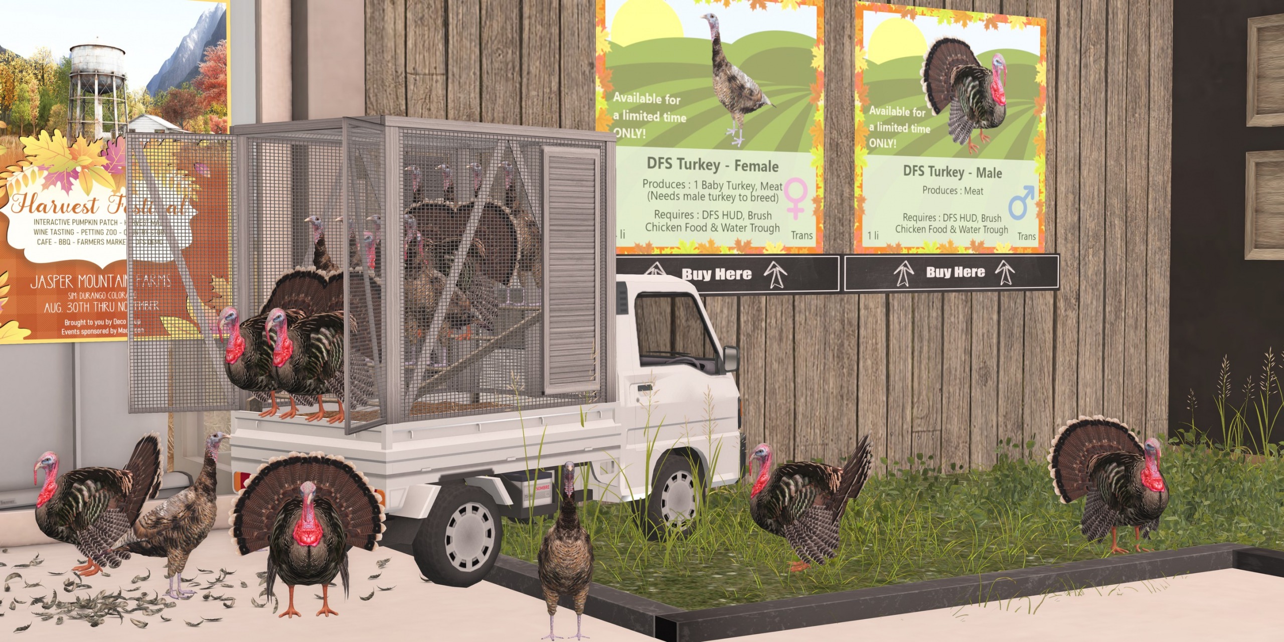 DFS – Turkeys – DFS Mainstore – Digital Farm System