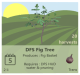DFS Trees – Digital Farm System