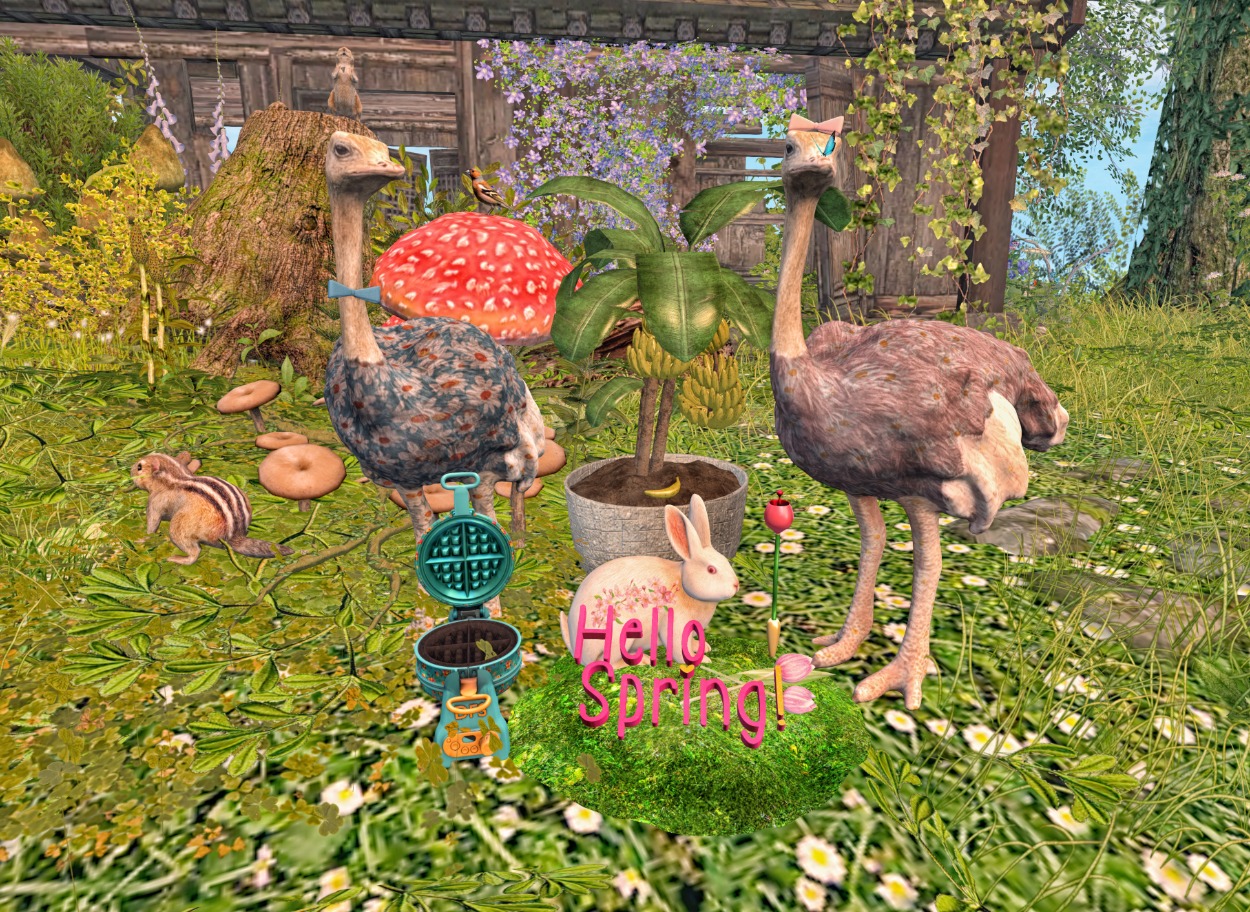 DFS – Spring Garden Collection – DFS Mainstore – Digital Farm System